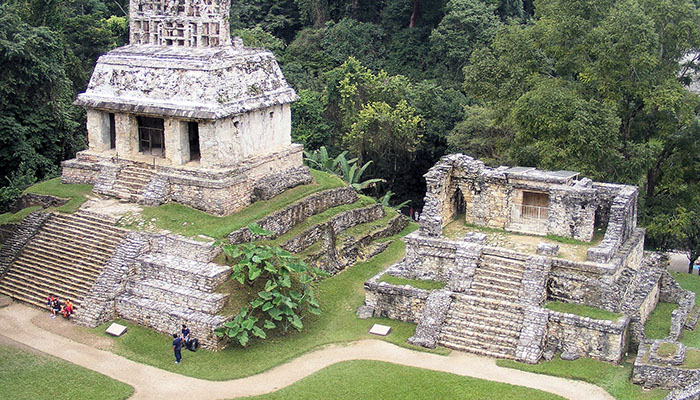 Palenque | Volonline